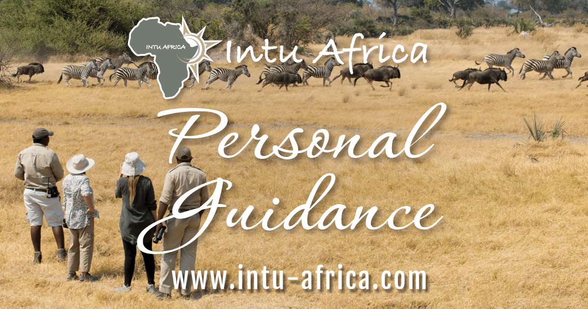 Personal Guidance🧭 Intu Africa Local & Private Travel Guides